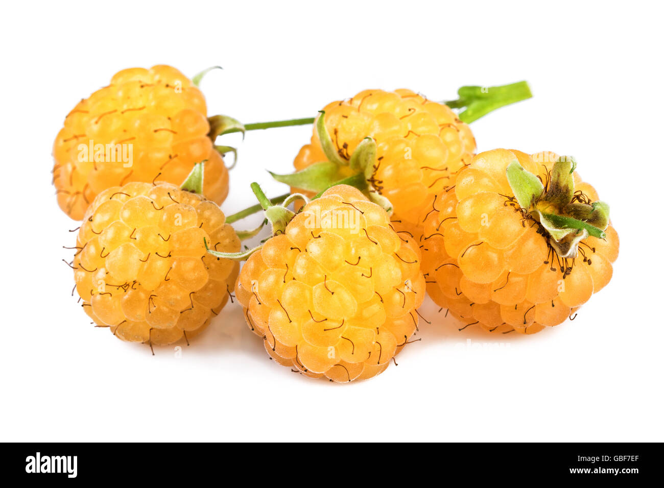 Closeup macro shot yellow Cut Out Stock Images & Pictures - Alamy