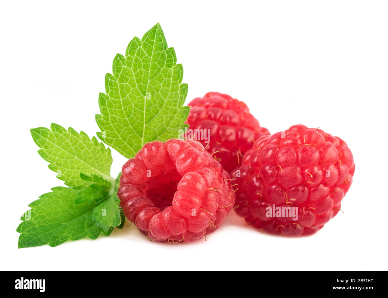 Fresh mint leaf hi-res stock photography and images - Alamy