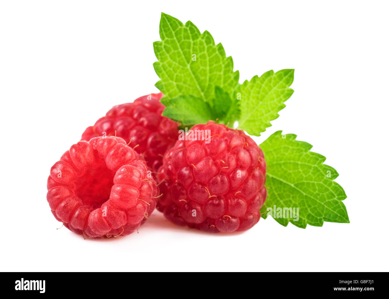 Raspberry with mint leaf. Closeup Stock Photo - Alamy