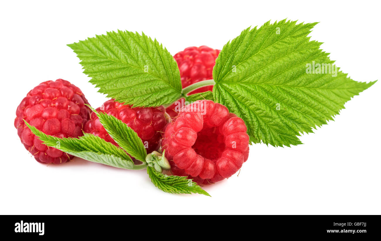 raspberries with leaves on white Stock Photo - Alamy
