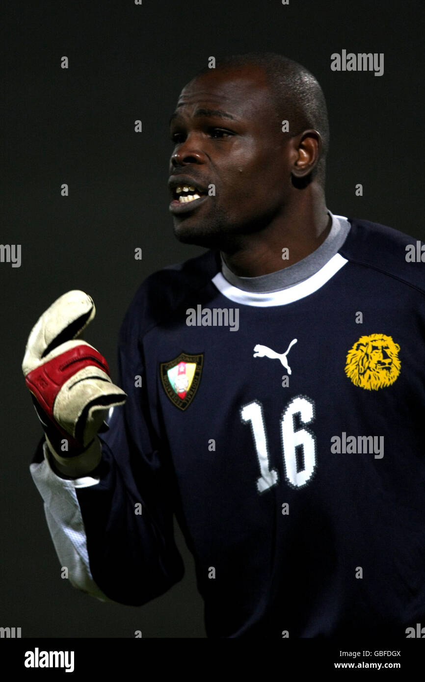 Soccer international friendly cameroon v guinea stade robert bobin hi ...
