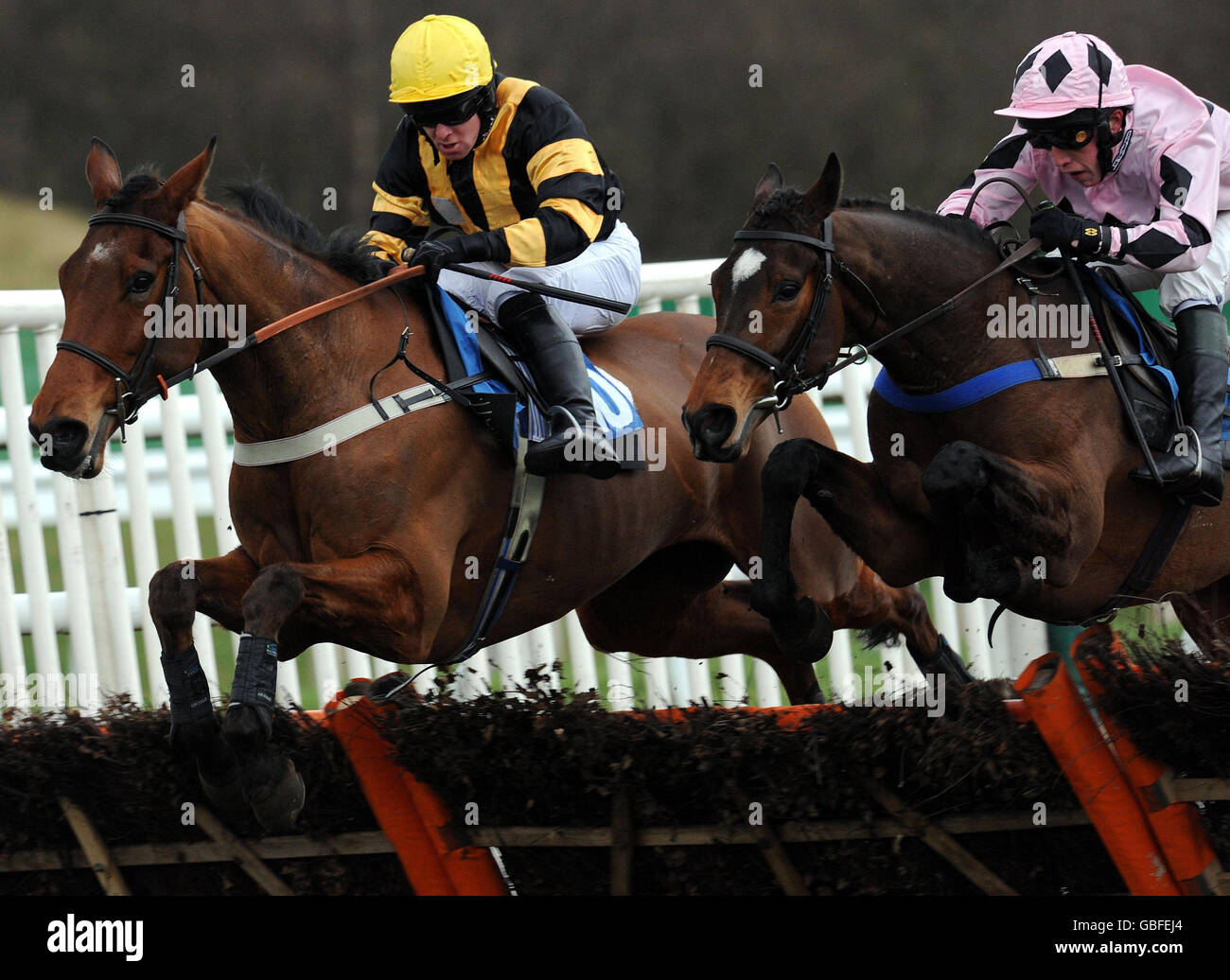 Jockey michael oconnell hi-res stock photography and images - Alamy