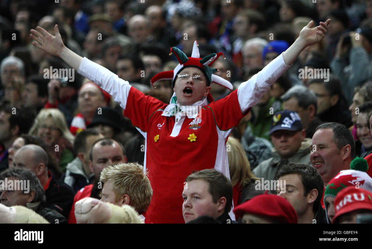 A welsh fan shows her support in the stands hi-res stock photography ...