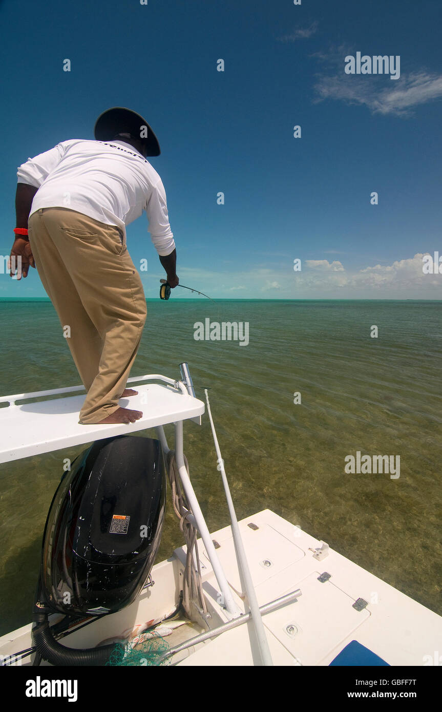 A guide casts his fly at a bonefish swimming on the flats in the Turks ...