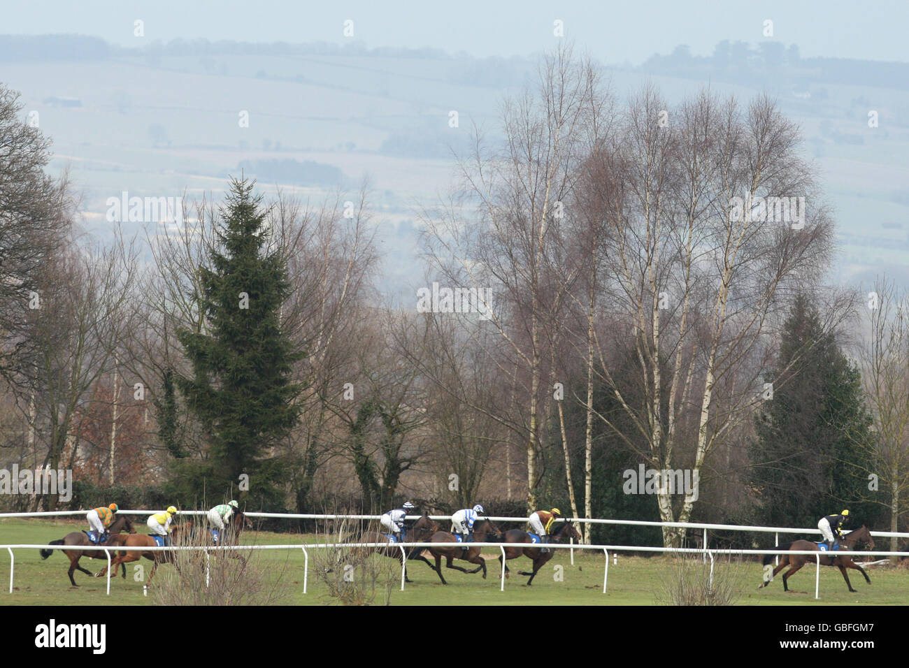 A general view of runners and riders during The Emma Wilding 18th ...