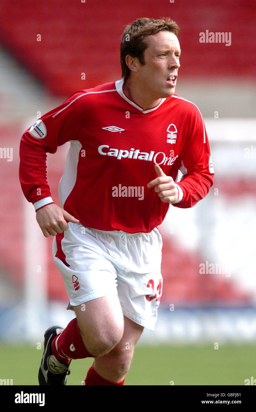 Alan rogers forest hi-res stock photography and images - Alamy