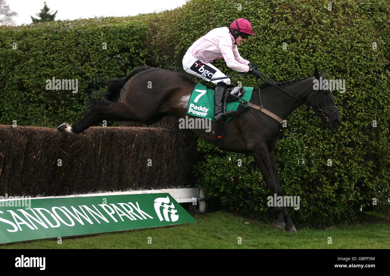 Horse Racing - Paddy Power Imperial Cup Day - Sandown Park. Fresh Air ...