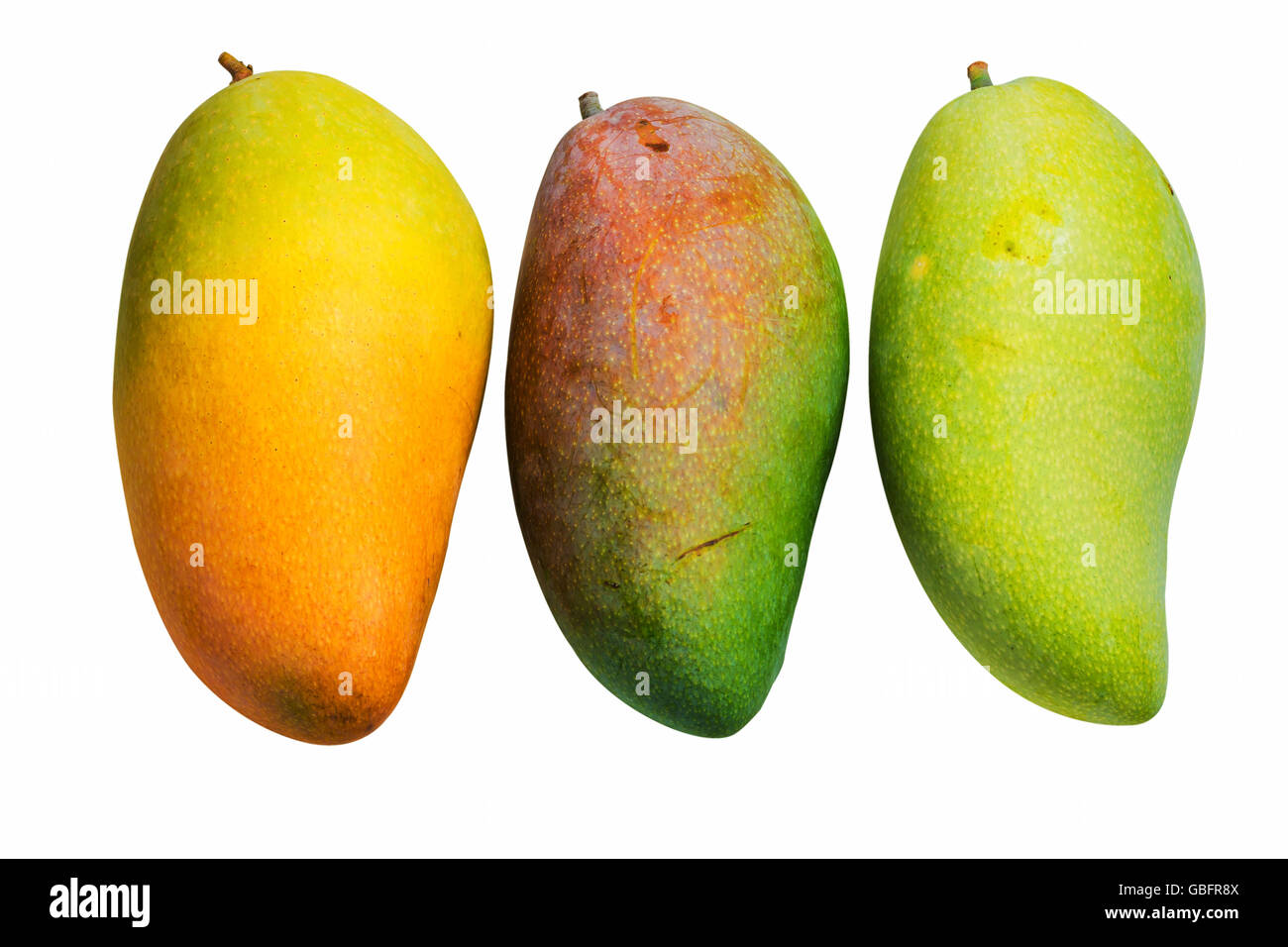 Mangoes fruits Cut Out Stock Images & Pictures - Alamy
