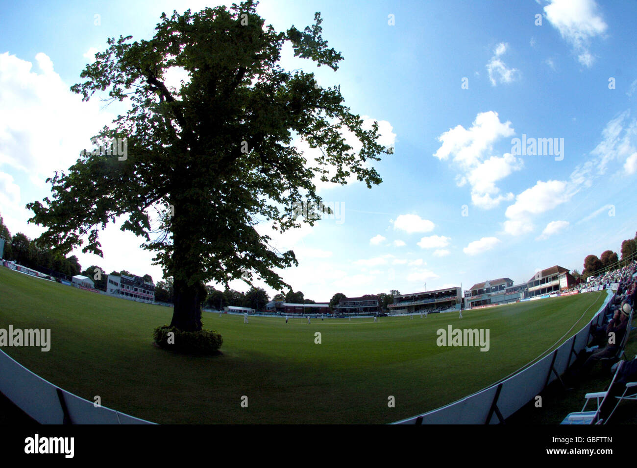 General view oak tree kent hi-res stock photography and images - Alamy