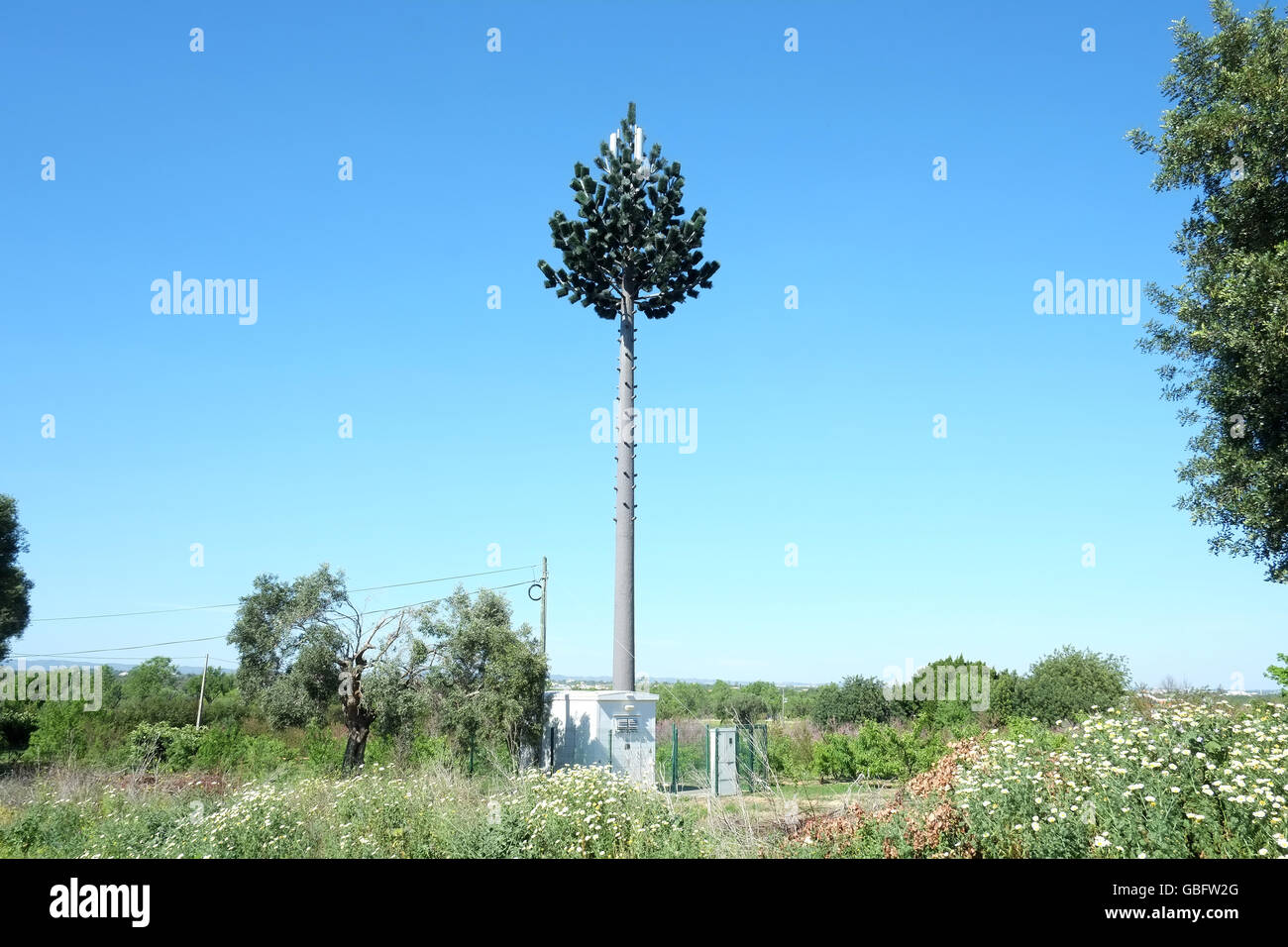 fake tree mobile phone mast Stock Photo - Alamy
