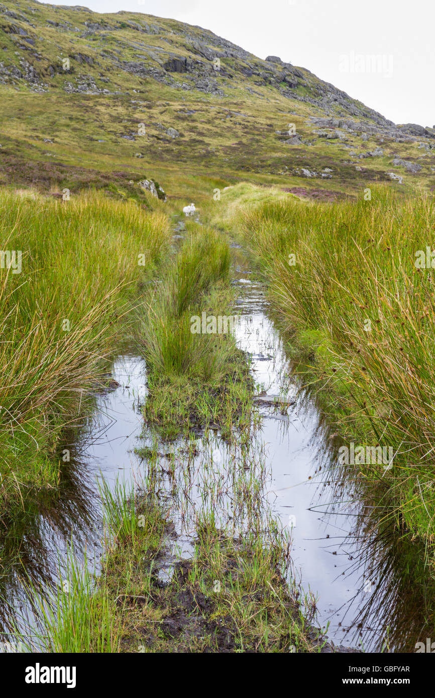 The course of a narrow gauge railway, which carried slate from mines to ...