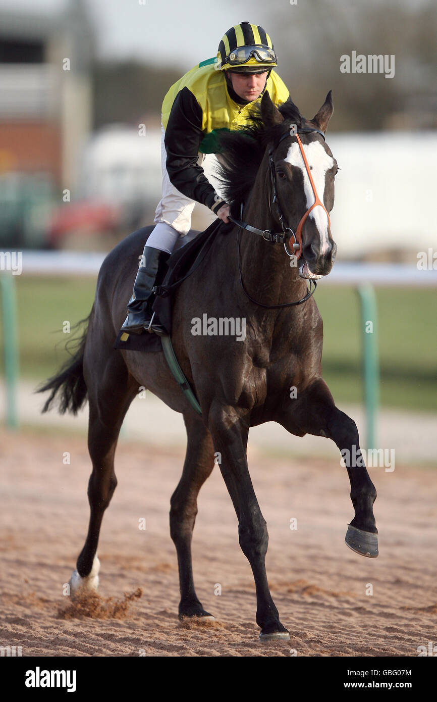Horse Racing - Southwell Racecourse Stock Photo - Alamy
