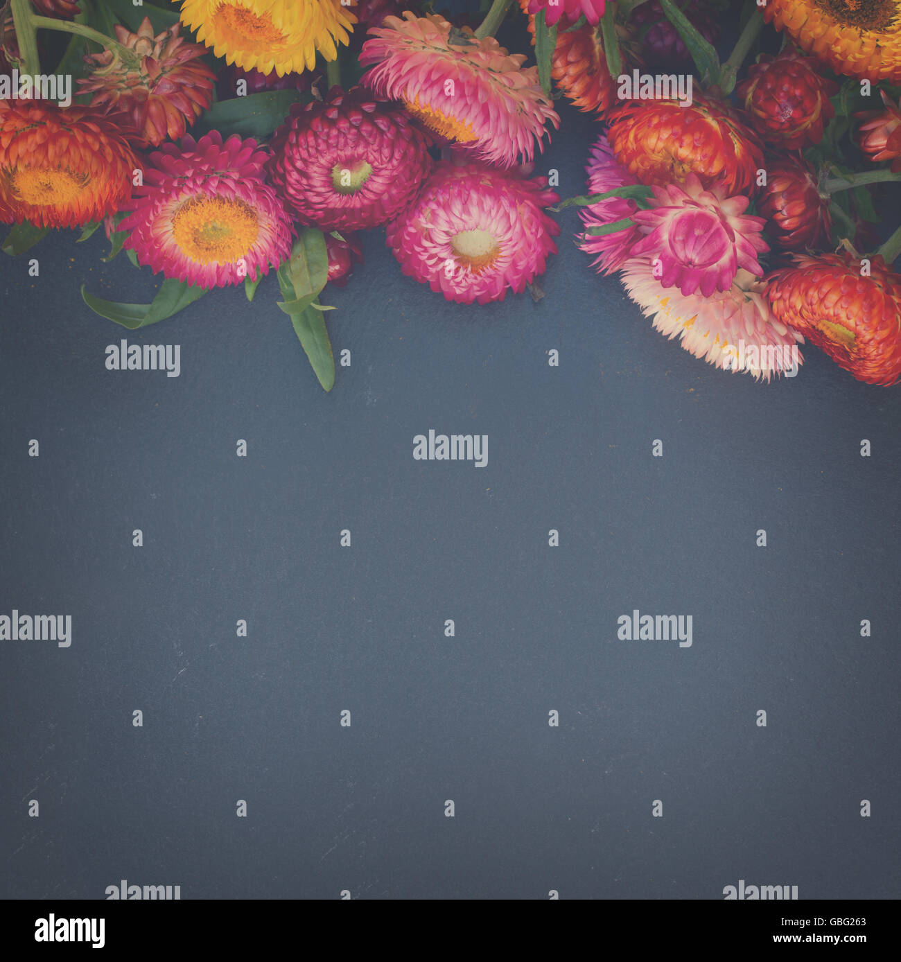 Everlasting flower posy hi-res stock photography and images - Alamy