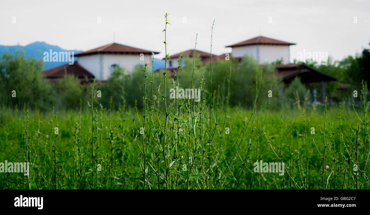 Castle top farm hi-res stock photography and images - Alamy