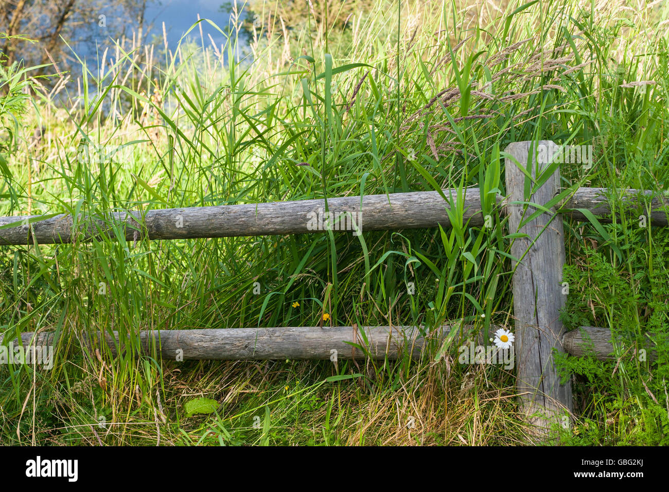 Before a rain hi-res stock photography and images - Alamy