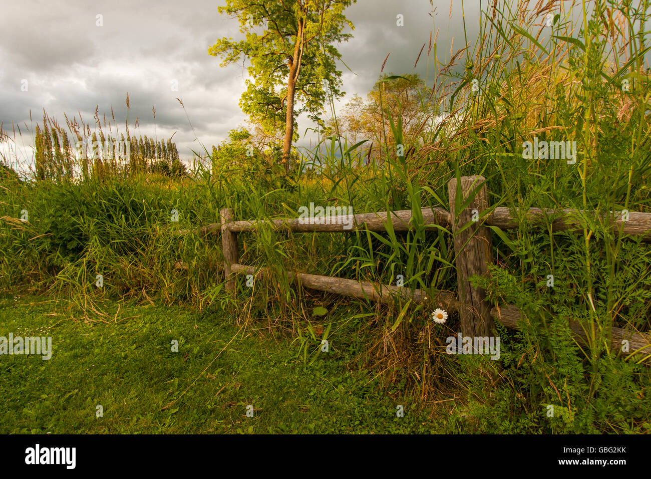 Before a rain hi-res stock photography and images - Alamy