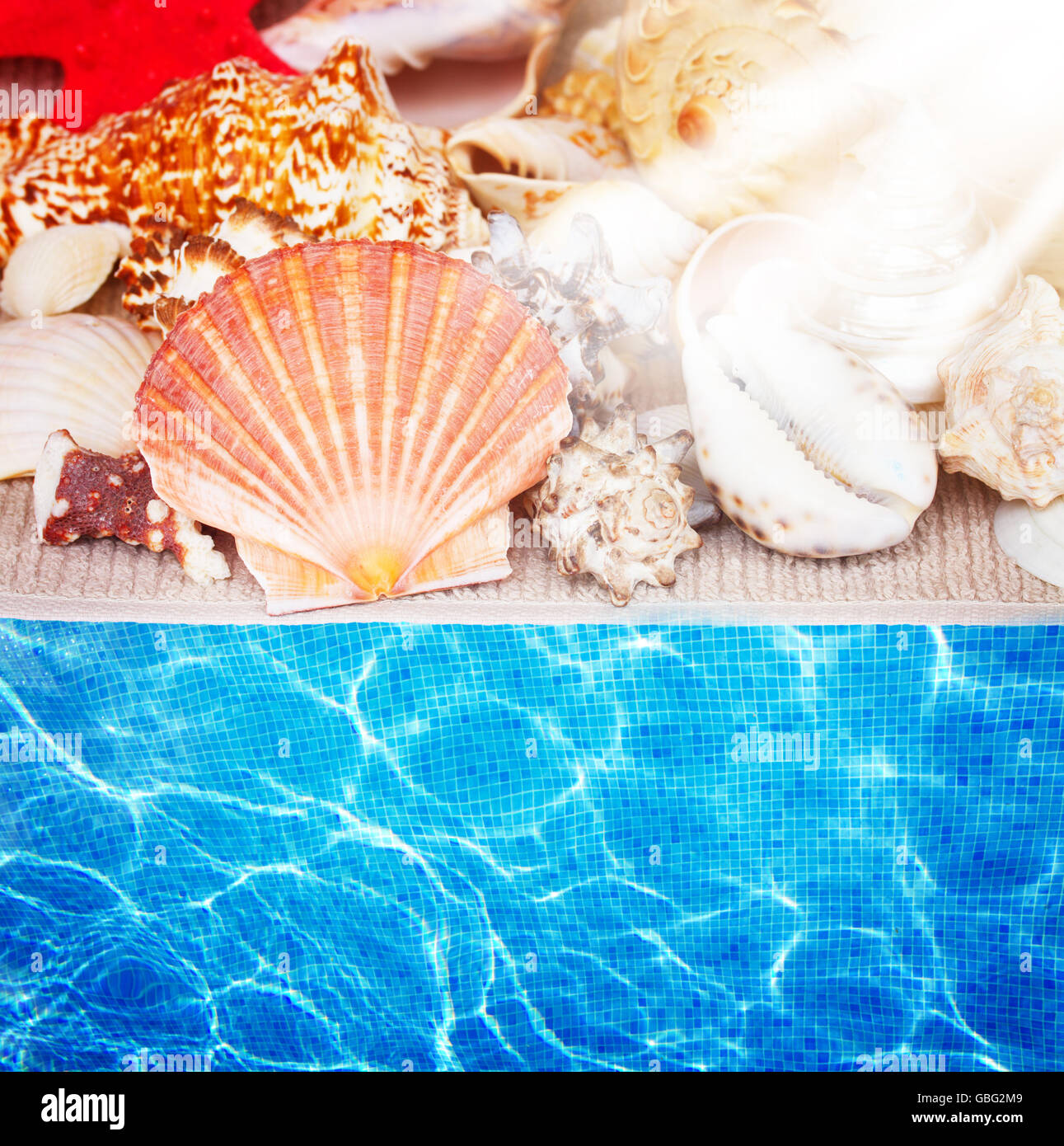 seashells border and pool water Stock Photo - Alamy