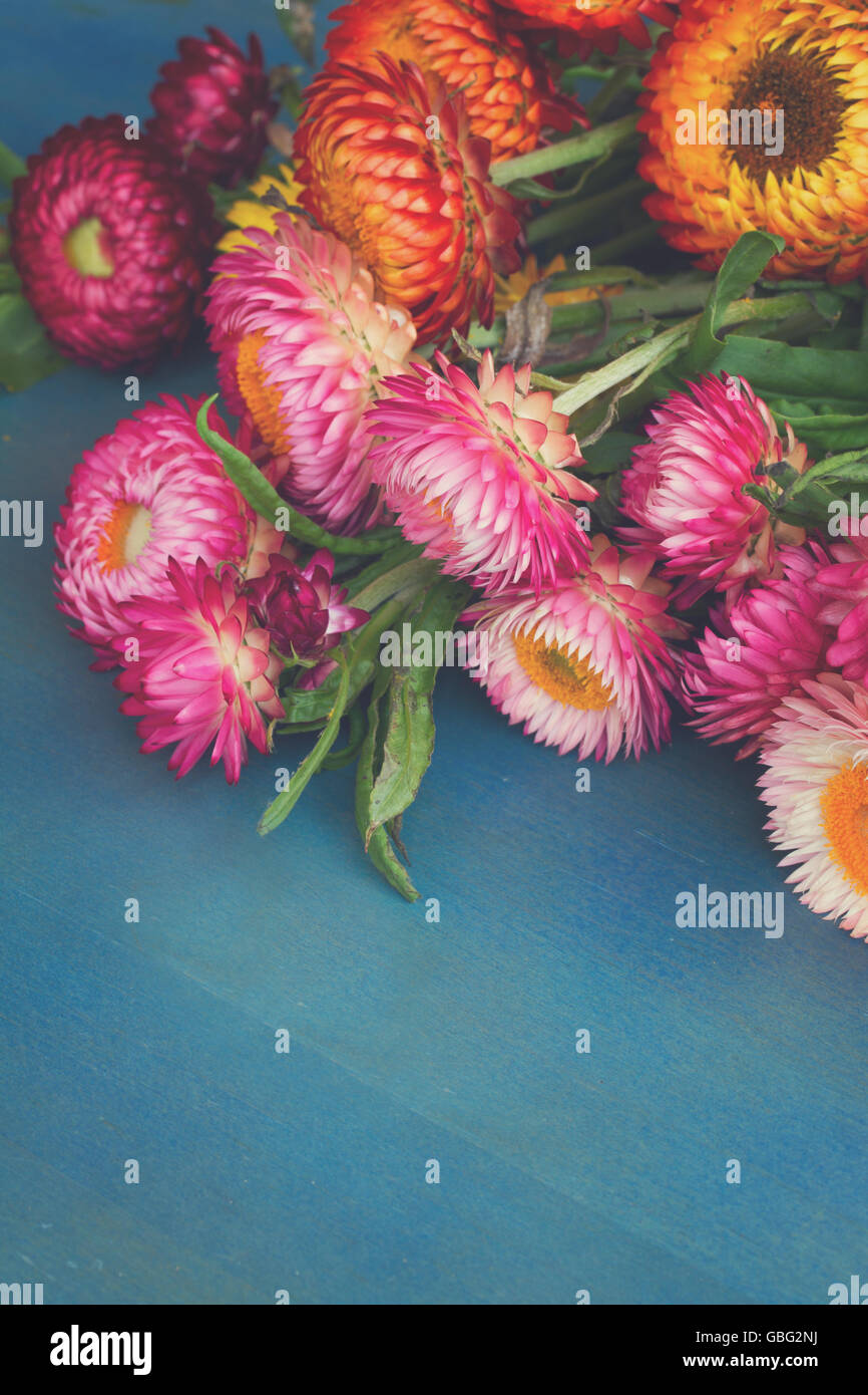 Everlasting flower posy hi-res stock photography and images - Alamy