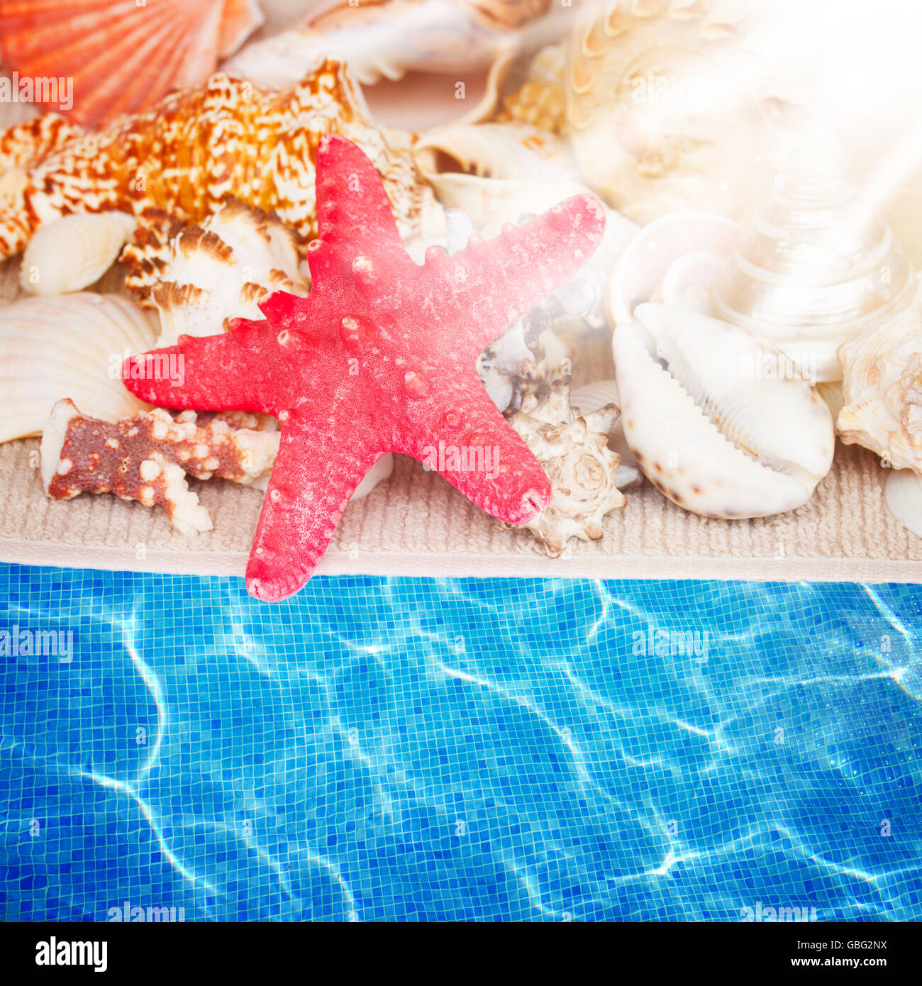 starfish and seashells border Stock Photo - Alamy