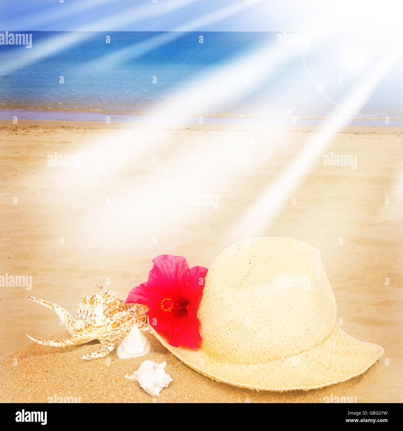 straw hat ans seashells on sand beach Stock Photo - Alamy