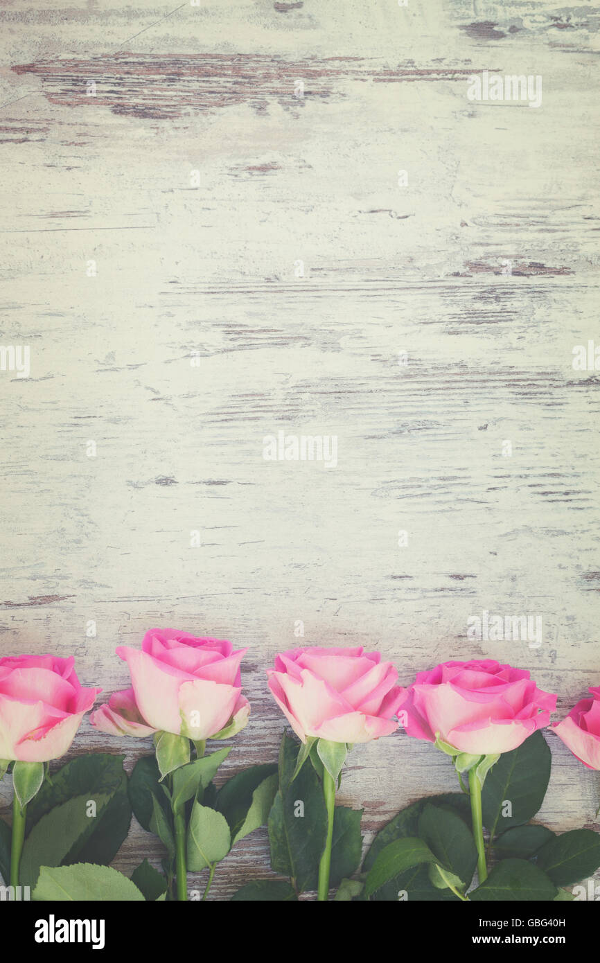 Pink fresh roses Stock Photo - Alamy