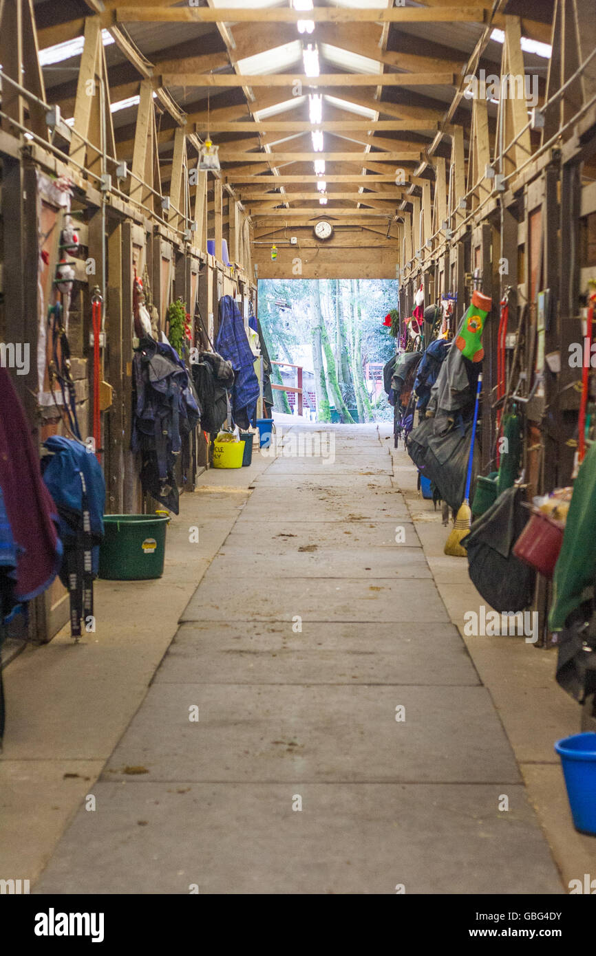 Inside a horse stable Stock Photo - Alamy
