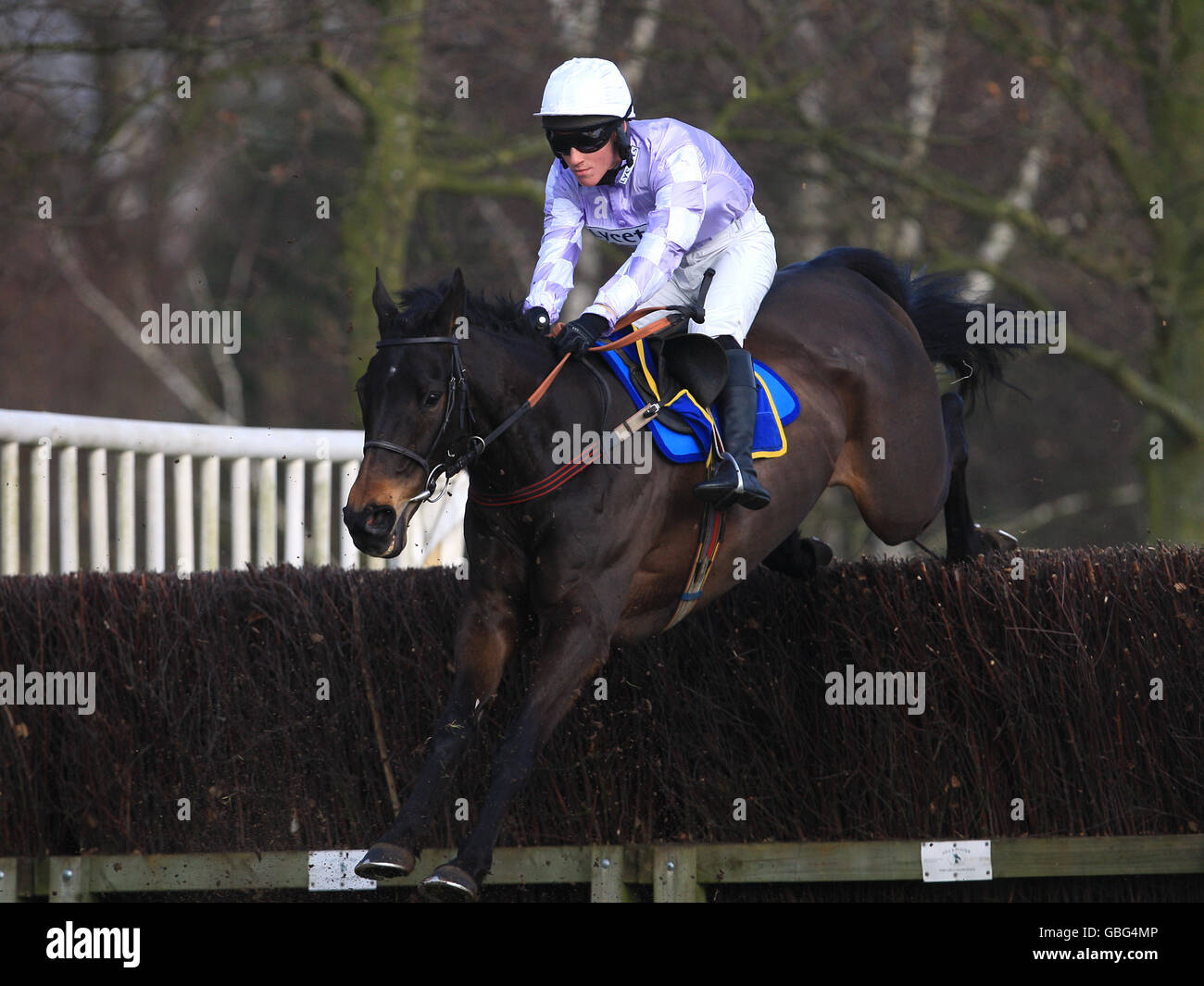 Horse Racing - Fakenham Racecourse Stock Photo - Alamy