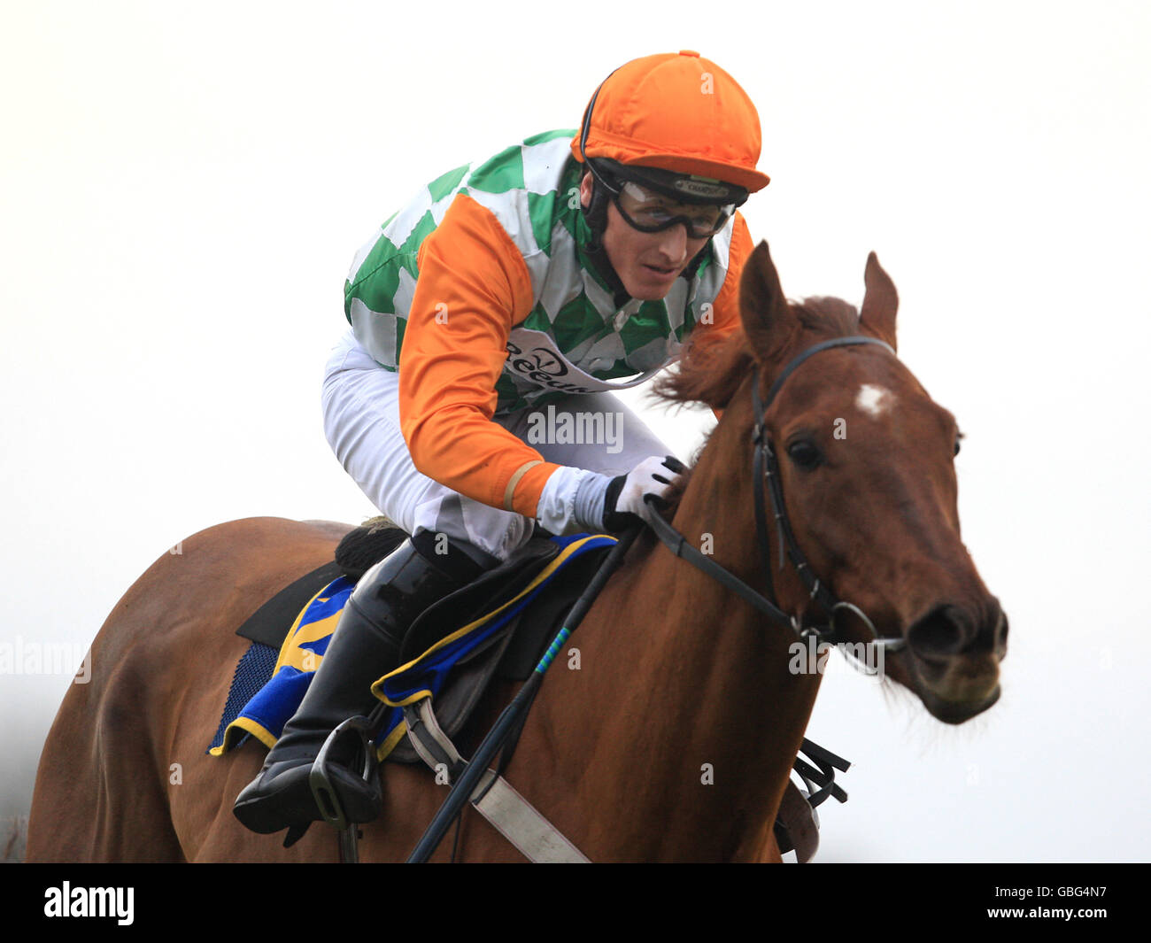 Jockey Lee Vickers on Peak Seasons during the Andy Don Memorial Novices ...