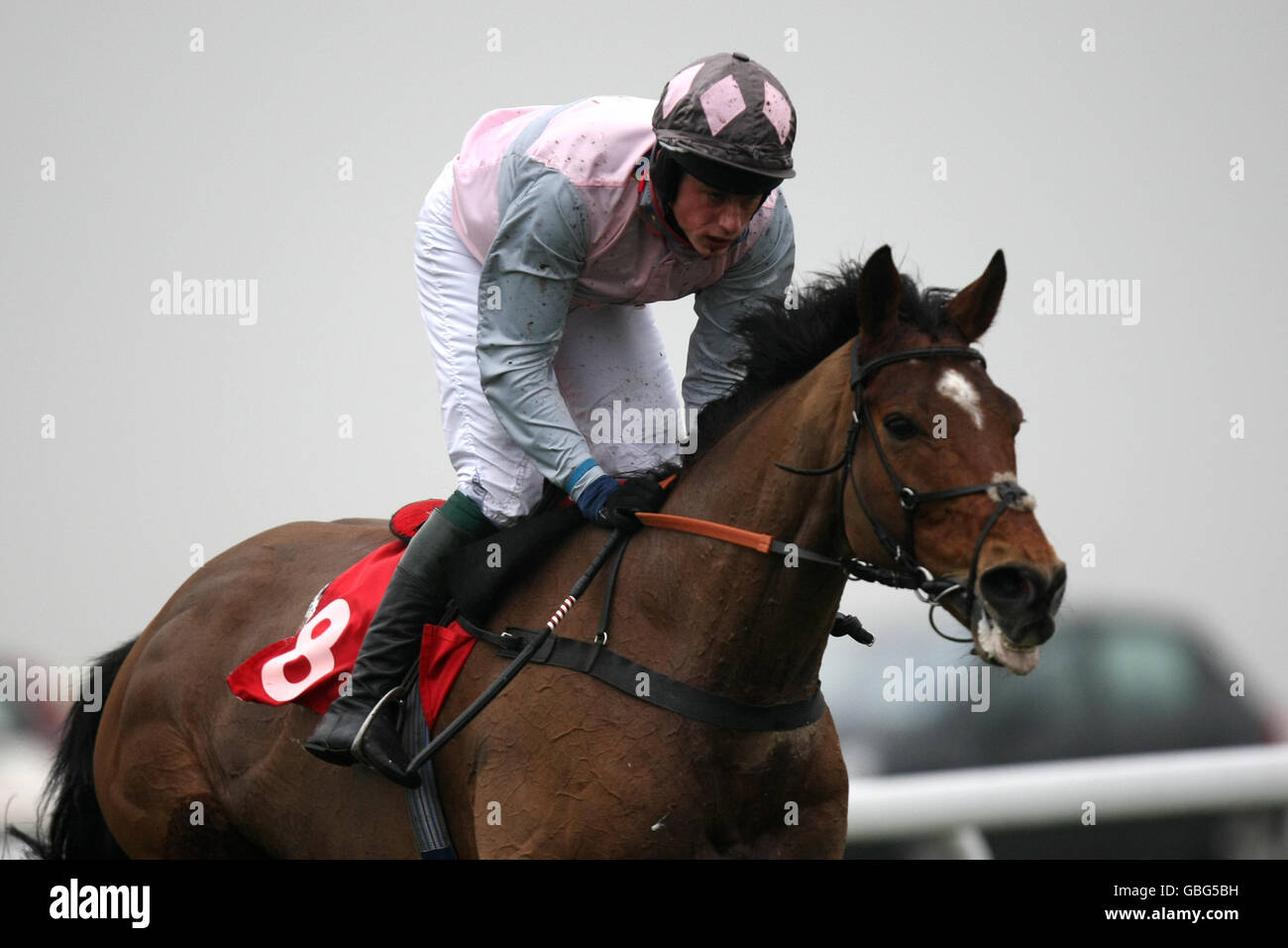Jockey Keith Mercer on You're Special during The Status Quo Live ...