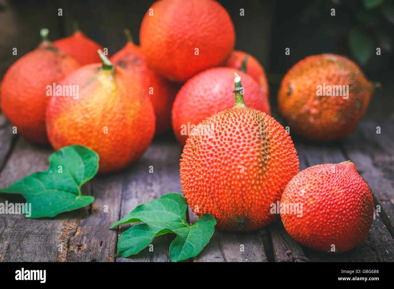Baby jackfruit hi-res stock photography and images - Alamy