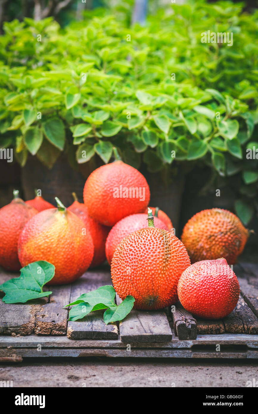 Trai gac fruit hi-res stock photography and images - Alamy