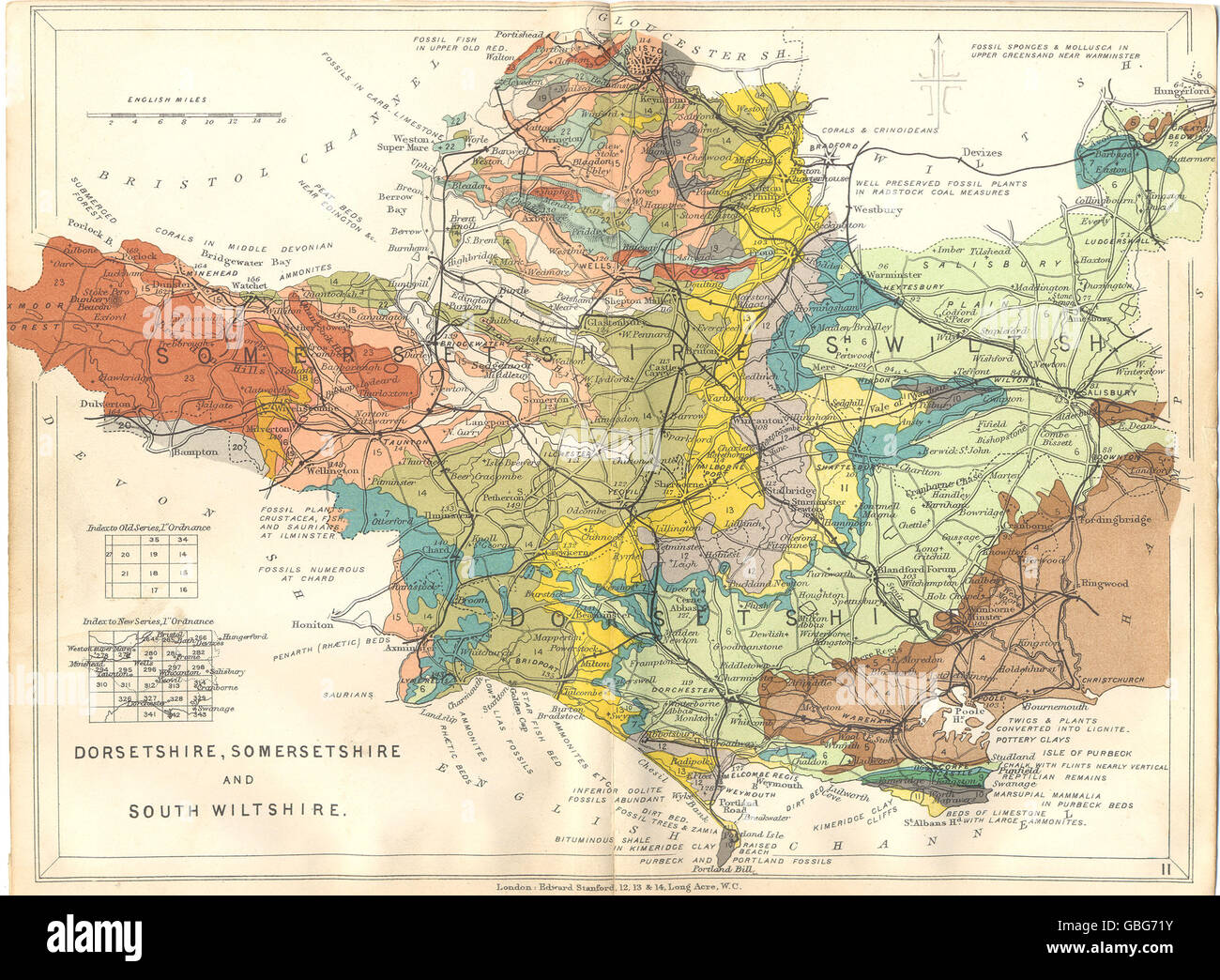 DORSET, SOMERSET AND SOUTH WILTSHIRE: Geological map. STANFORD, 1880 ...