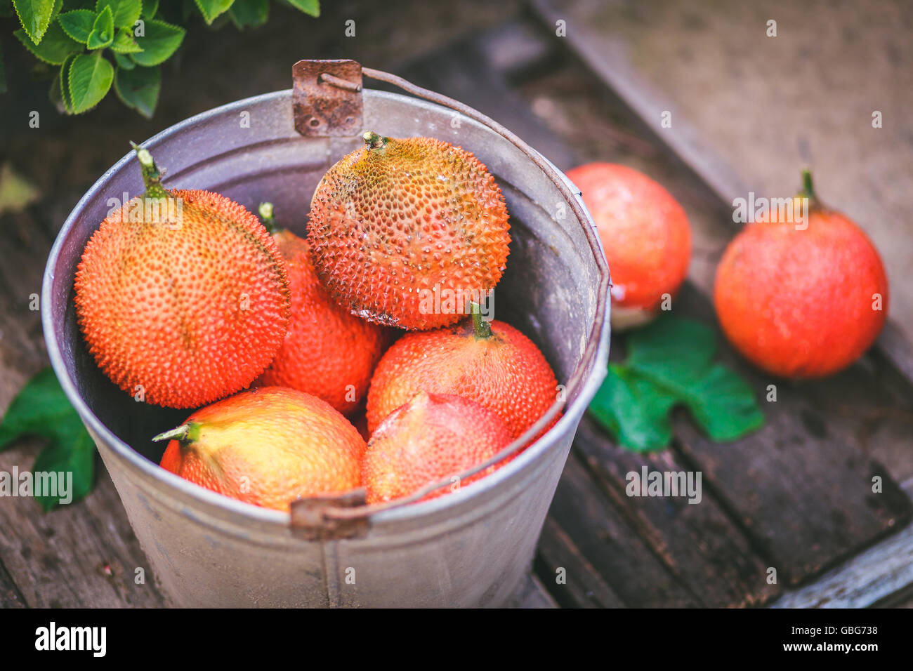 Trai gac fruit hi-res stock photography and images - Alamy