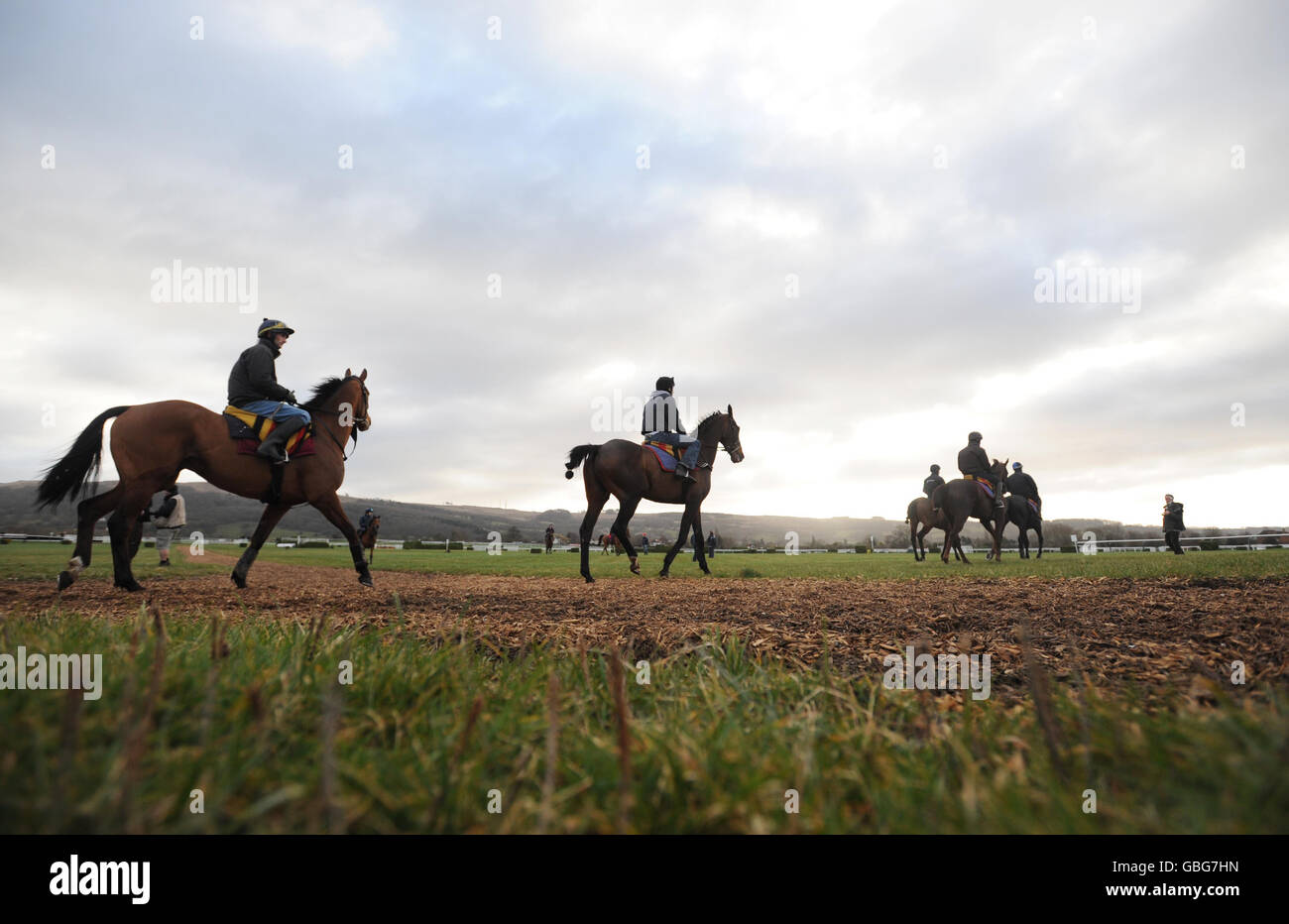 Horse Racing - Cheltenham Festival 2009 - Preview Day Two - Cheltenham ...