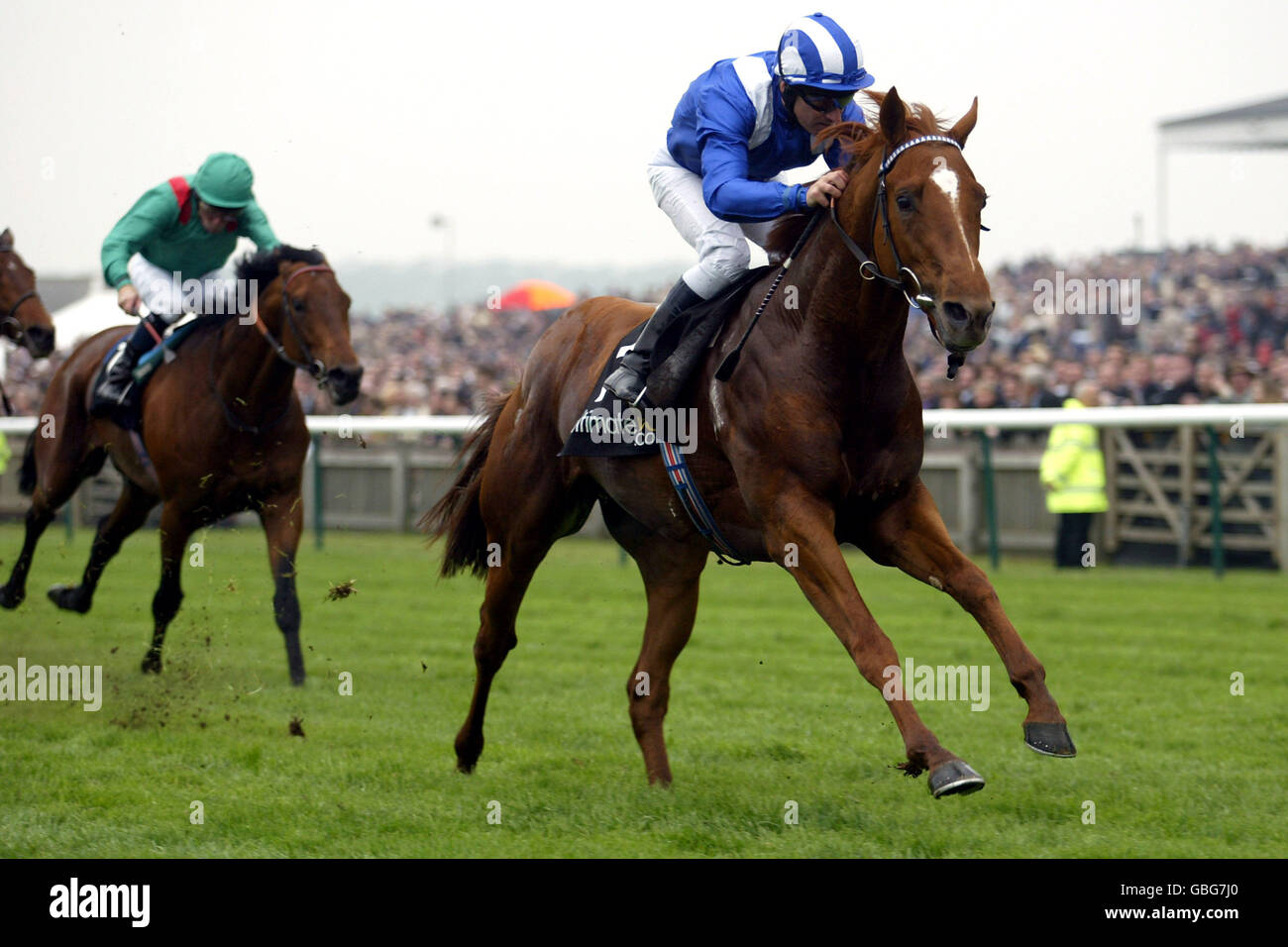 Richard Hills riding Haafhd wins The UltimateBet.com 2000 Guiness ...