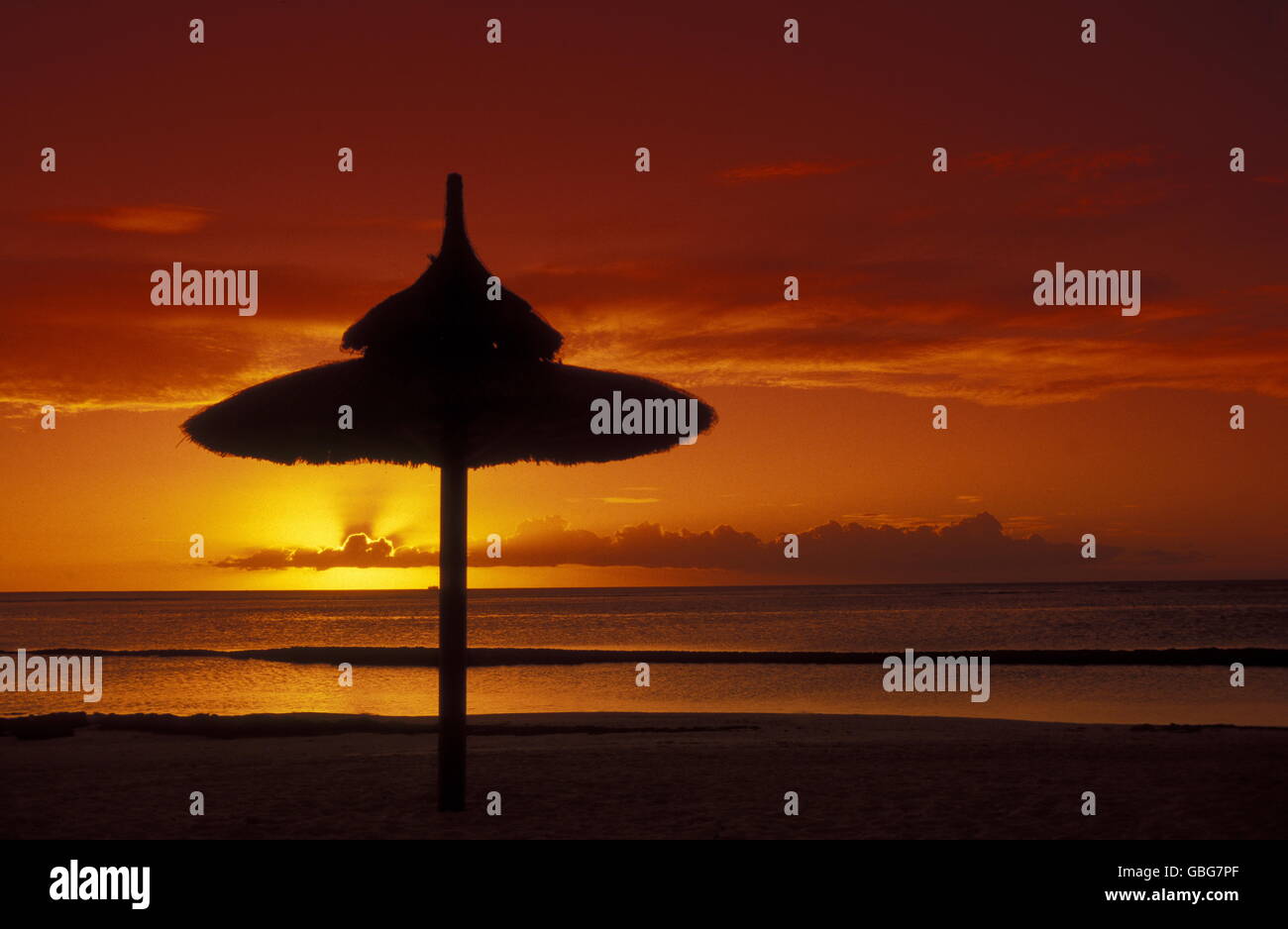 a sunset on a beach on the island of Mauritius in the indian ocean ...