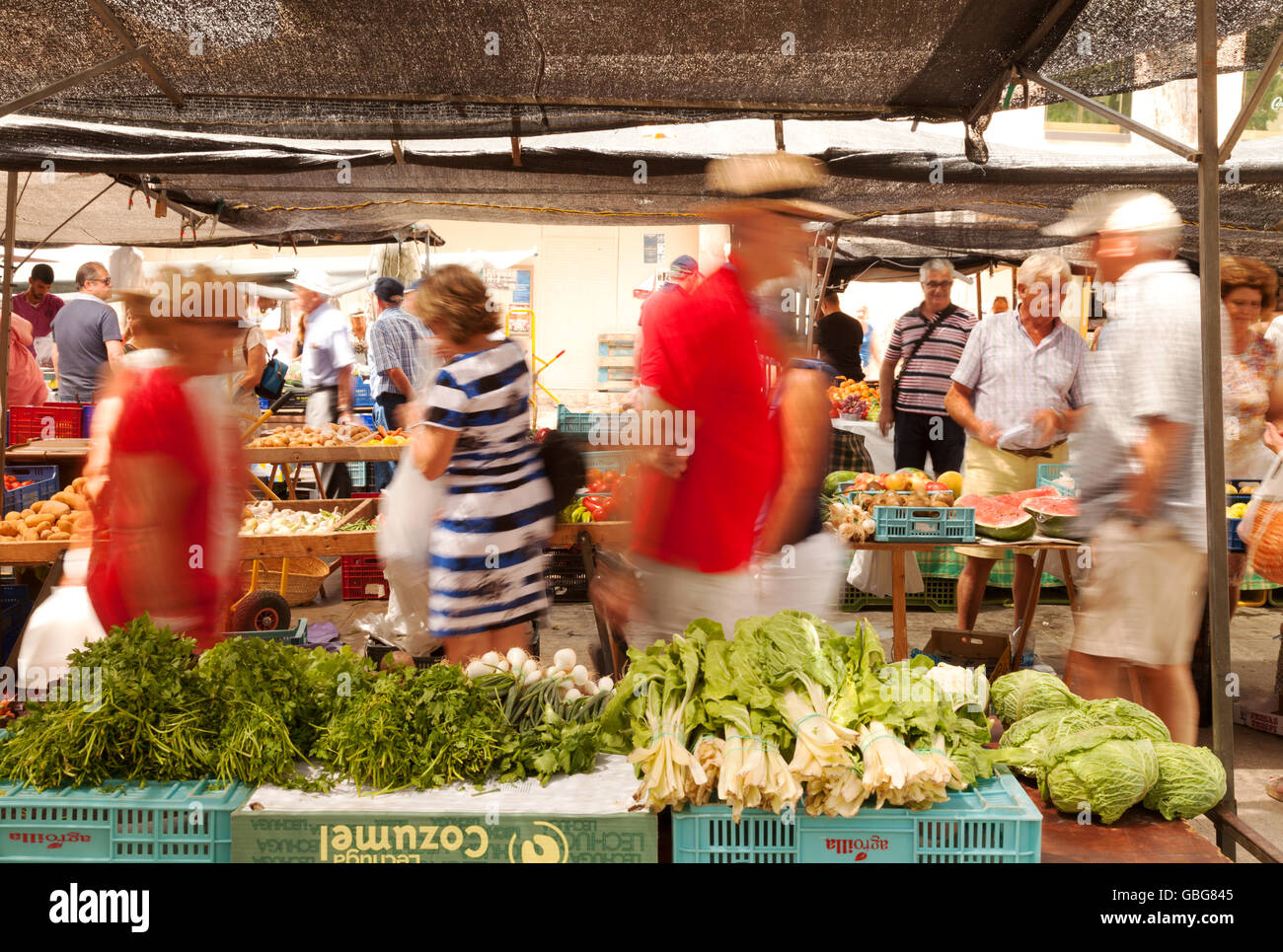 People shopping in the food market, Pollensa ( Pollenca ), Mallorca ...