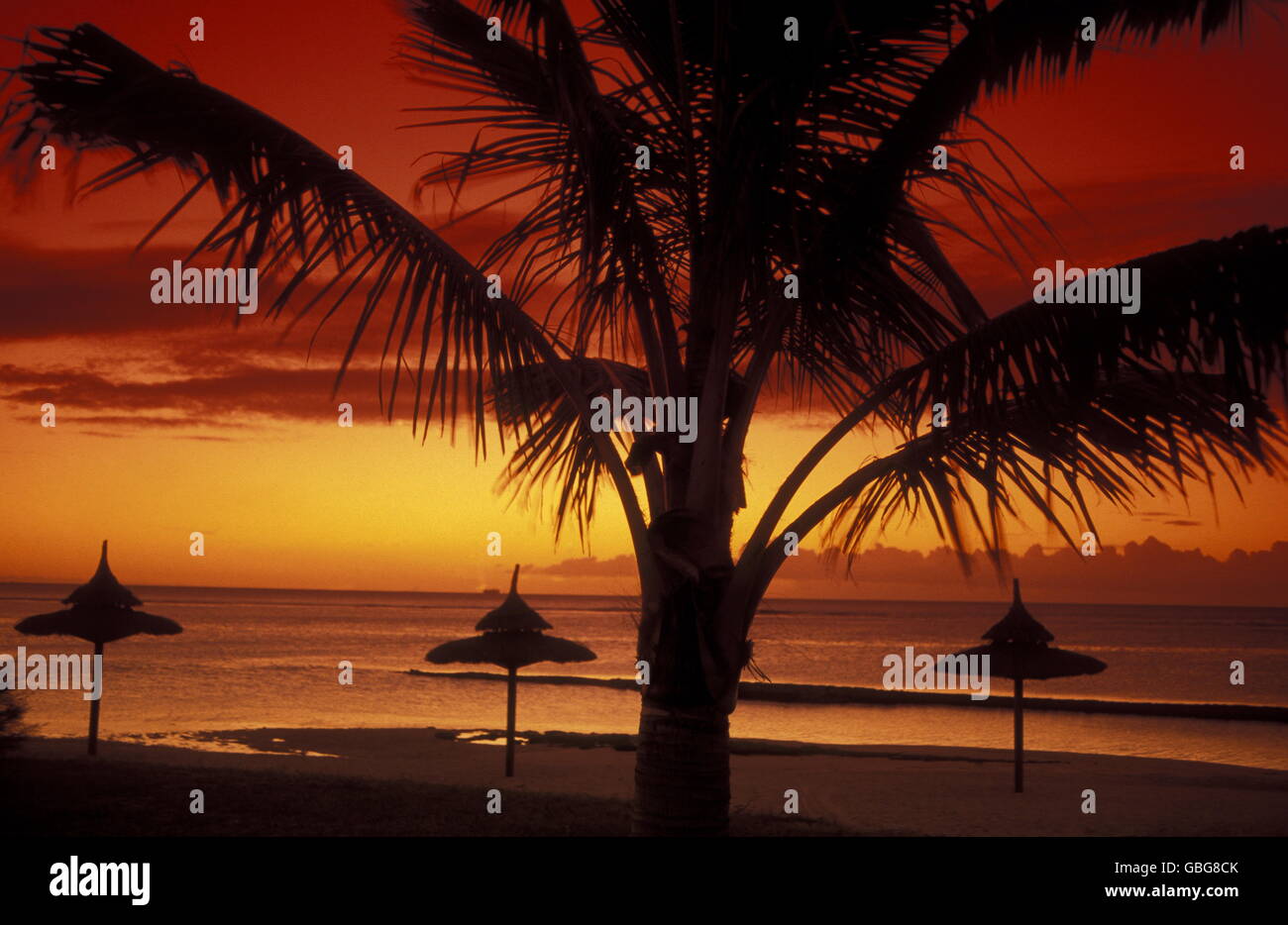 a sunset on a beach on the island of Mauritius in the indian ocean ...