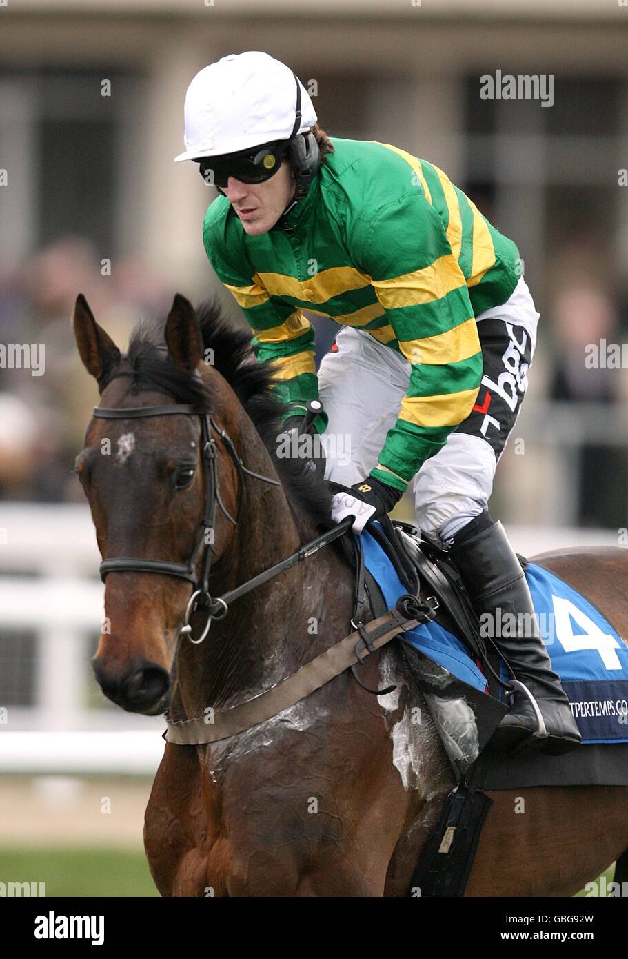 Jockey tony mccoy on dont push it the pertemps final hi-res stock ...