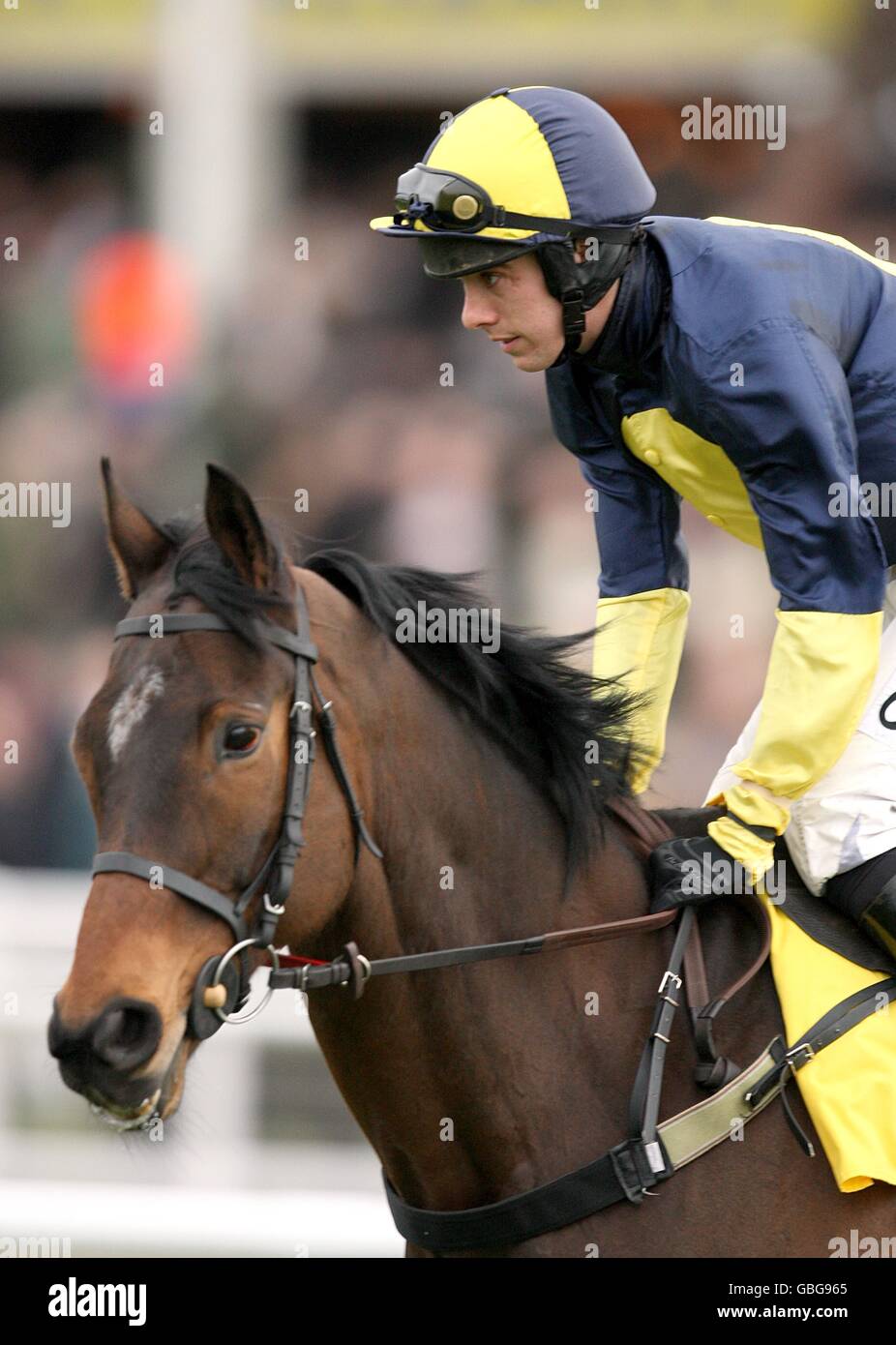 Jockey Dominic Elsworth on Mister McGoldrick before the Ryanair Chase ...