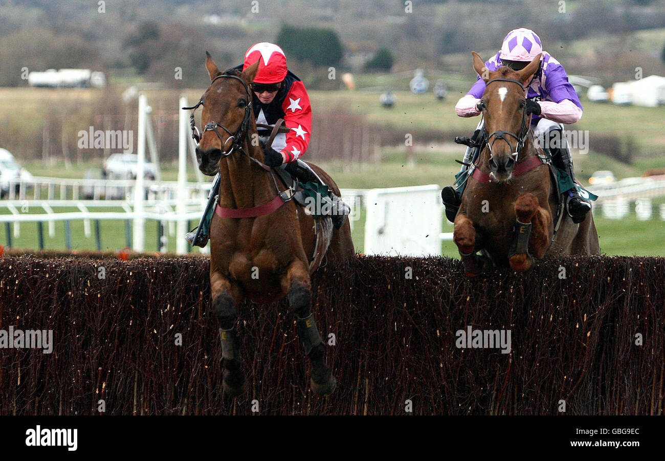 William Biddick on Something Wells clears the last ahead of Ping Pong ...