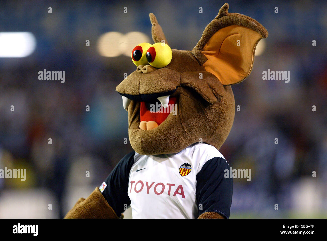 Valencia bat hi-res stock photography and images - Alamy