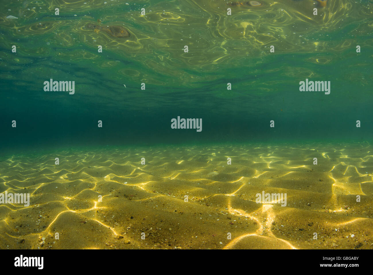 Underwater view of a beach in Brazil on a sunny summer day Stock Photo ...