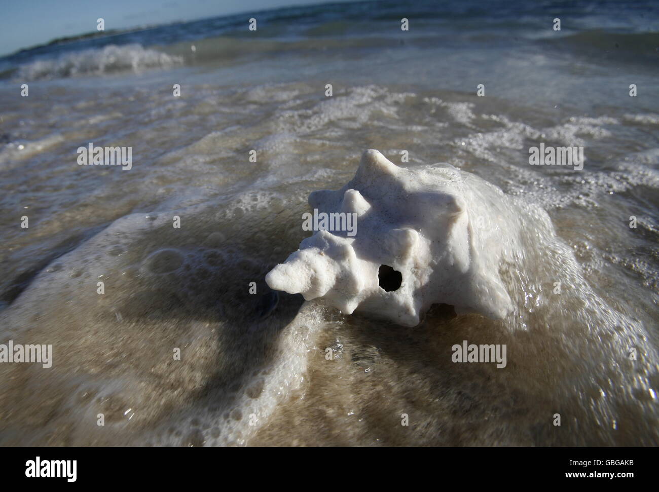 a beach at the village on the Gran Roque Island at the Los Roques ...