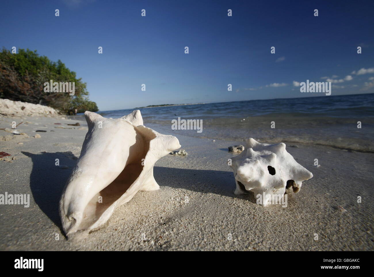 a beach at the village on the Gran Roque Island at the Los Roques ...