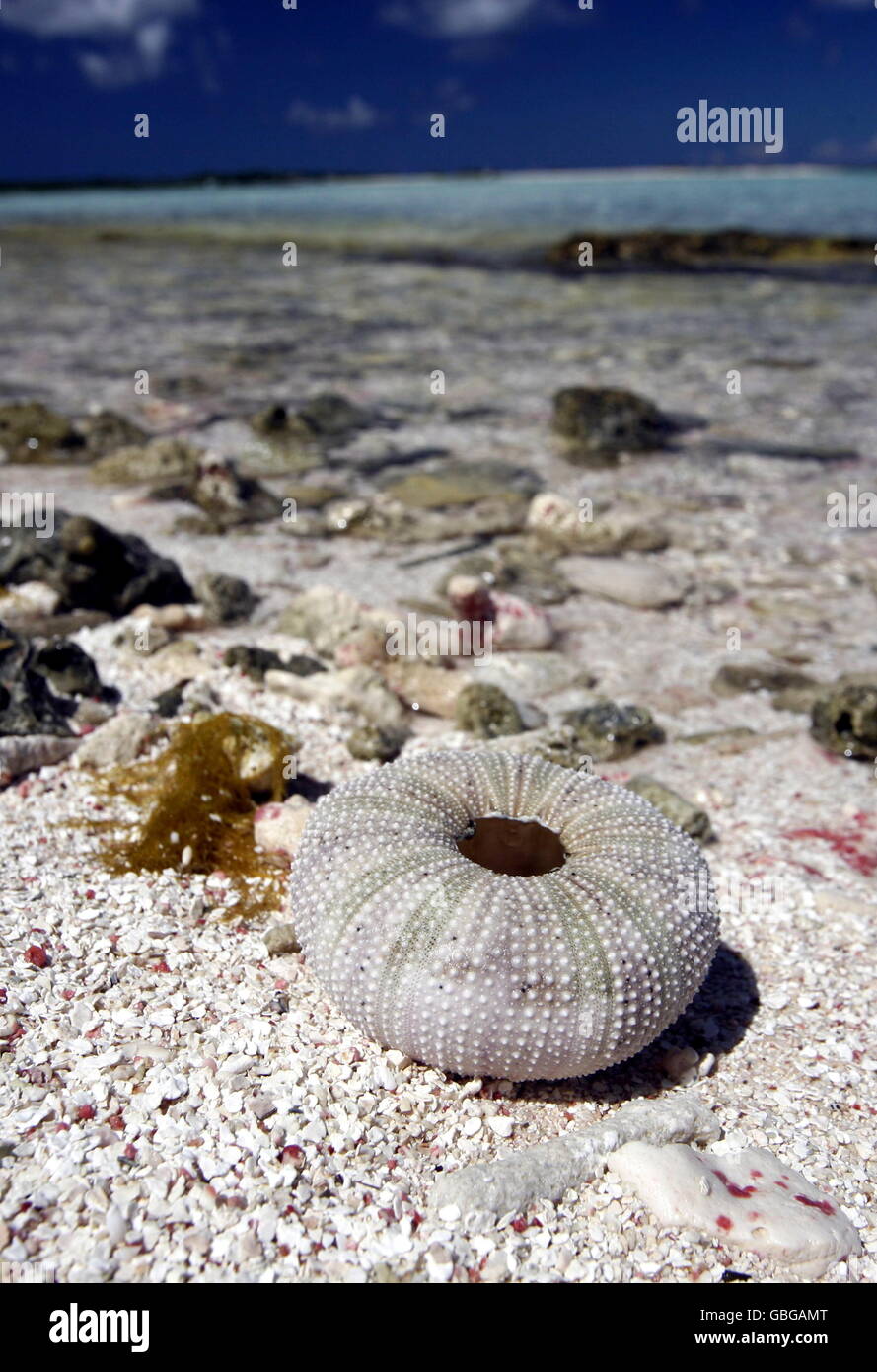 a beach at the village on the Gran Roque Island at the Los Roques ...
