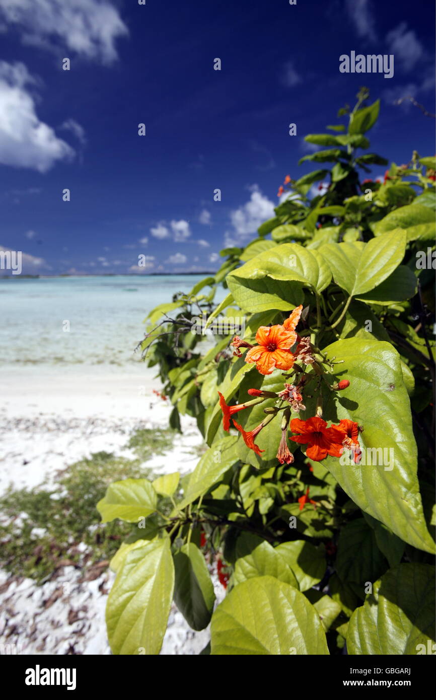 a beach at the village on the Gran Roque Island at the Los Roques ...