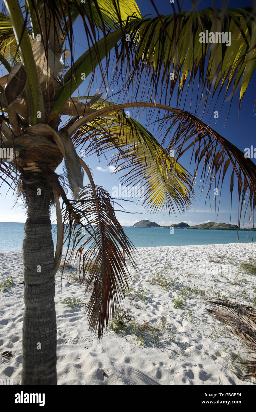 a beach at the village on the Gran Roque Island at the Los Roques ...