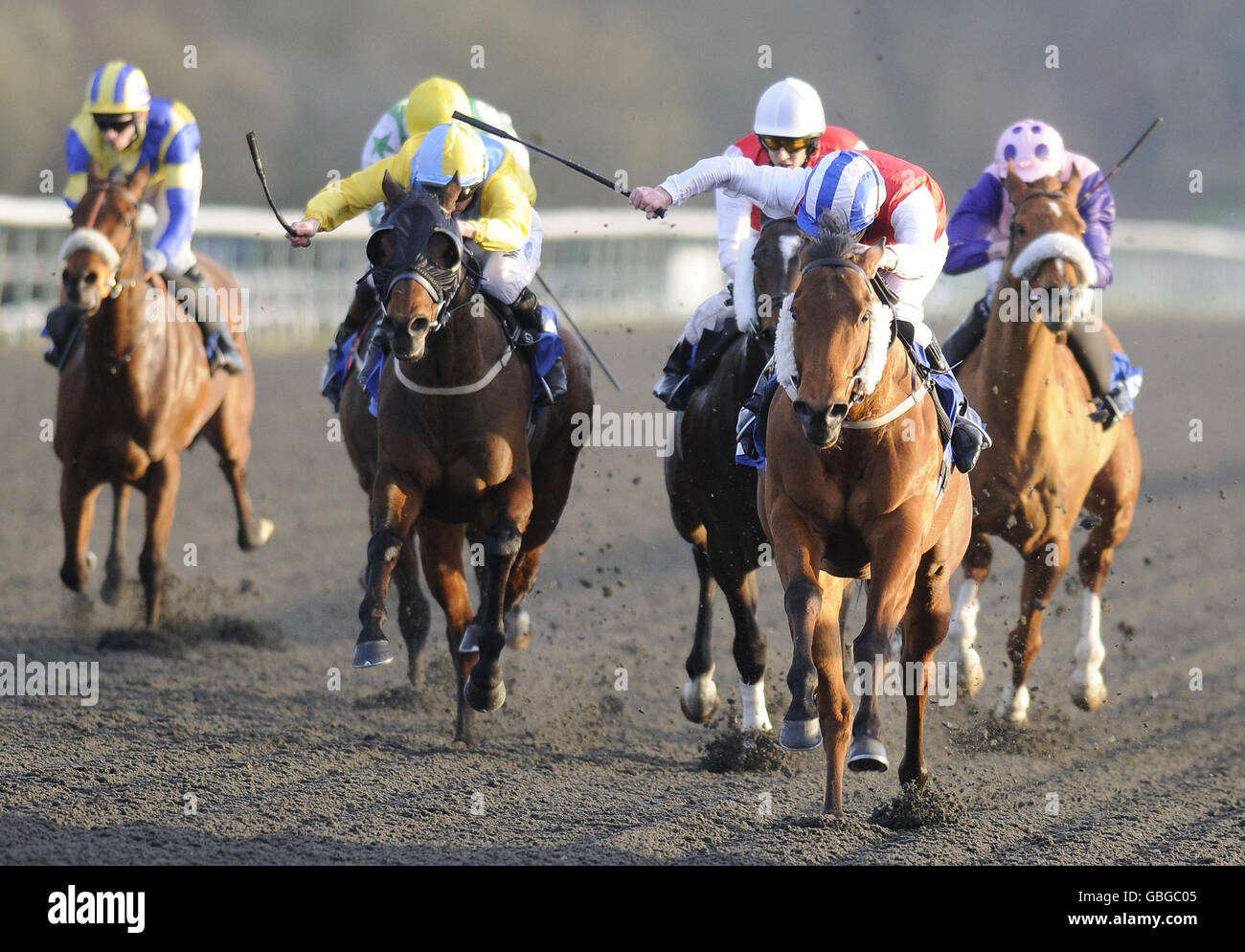Horse Racing - Lingfield Park Racecourse Stock Photo - Alamy