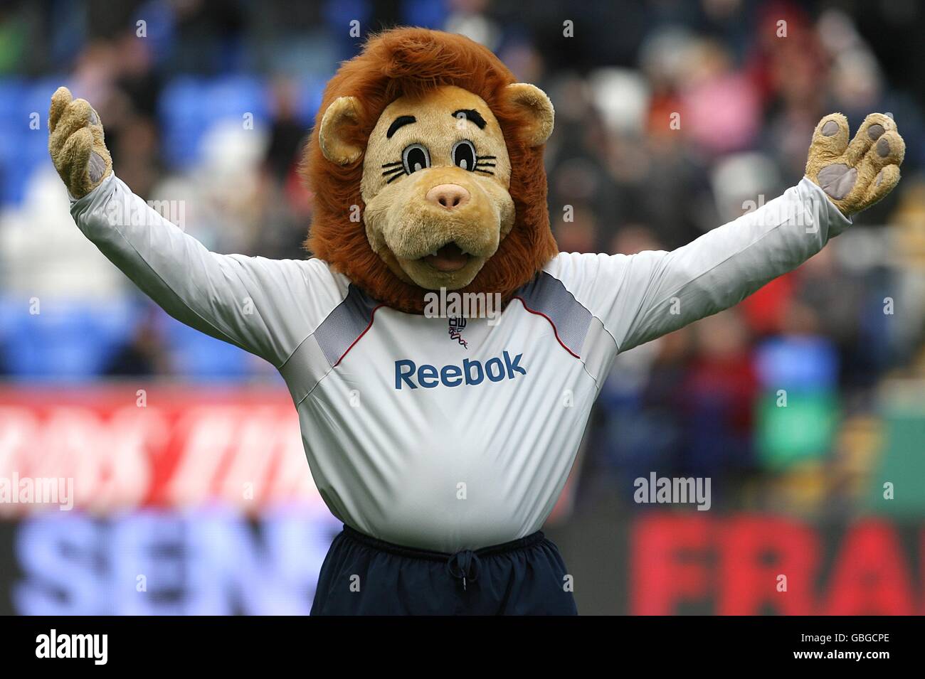 Bolton wanderers mascot lofty lion hi-res stock photography and images ...